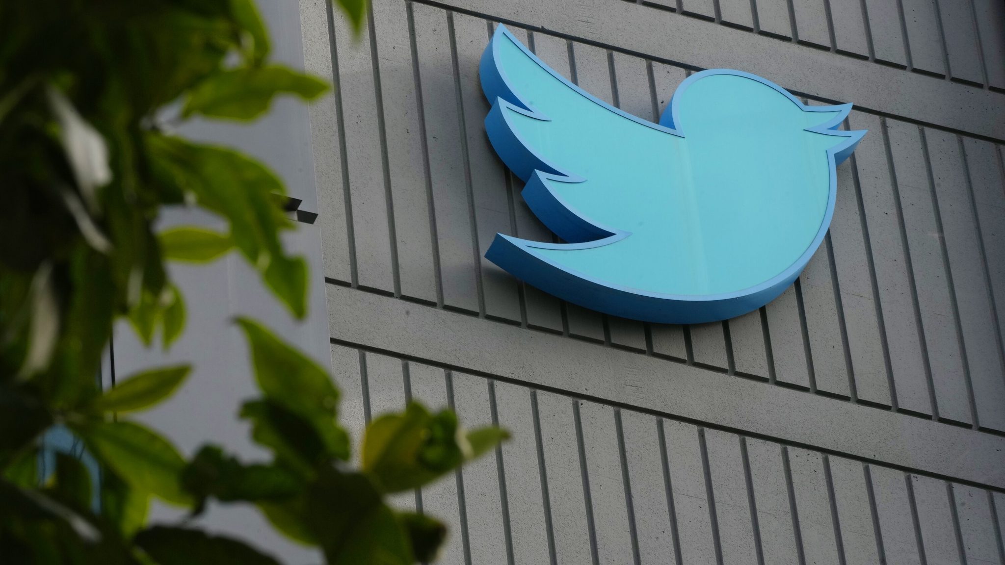 Twitter eliminates two-factor authentication by SMS: learn how you can ...